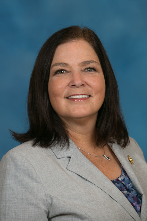 Keeping it Real: Implementation Methodologies and Application of EBP ...