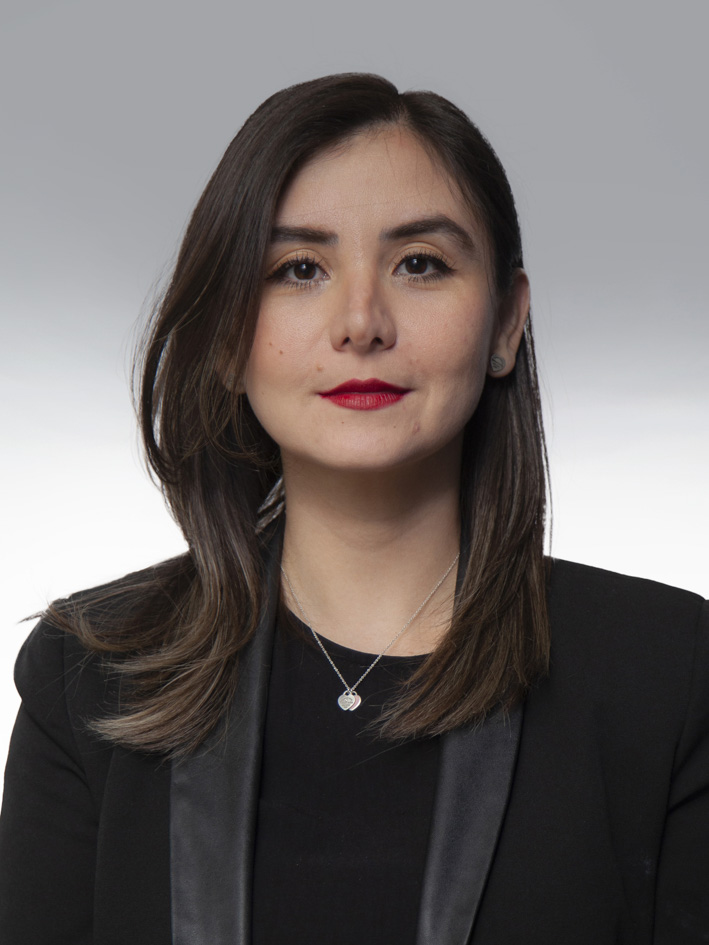 Knal Empresarial | Impacto de las directrices ASG de la UE en América ...